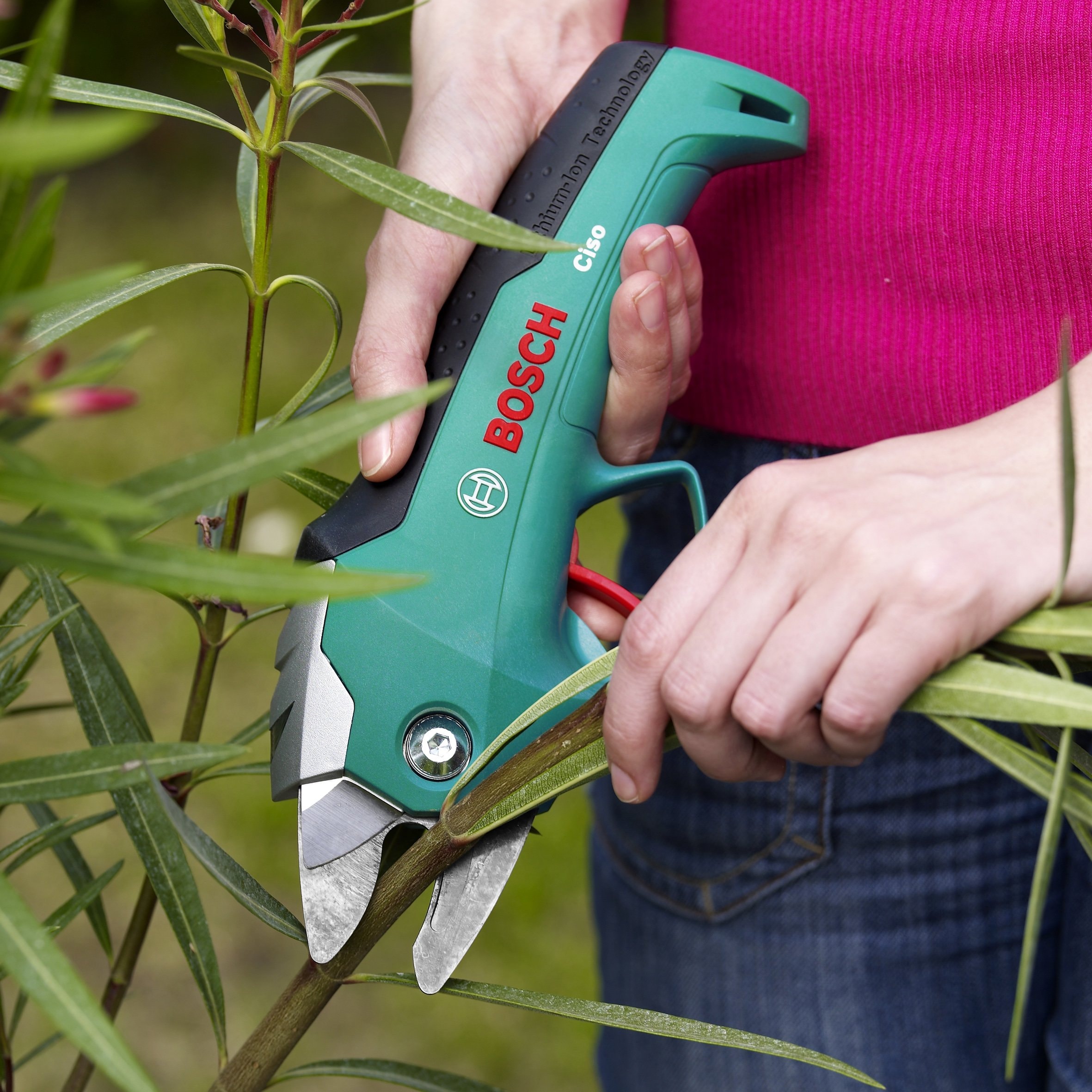 Sécateur électrique BOSCH Ciso 855002 Pas Cher - UBALDI.com