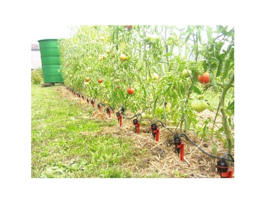 Kit jardin arrosage régulé avec goutteurs sur pied 10 goutteurs IRISO 31016