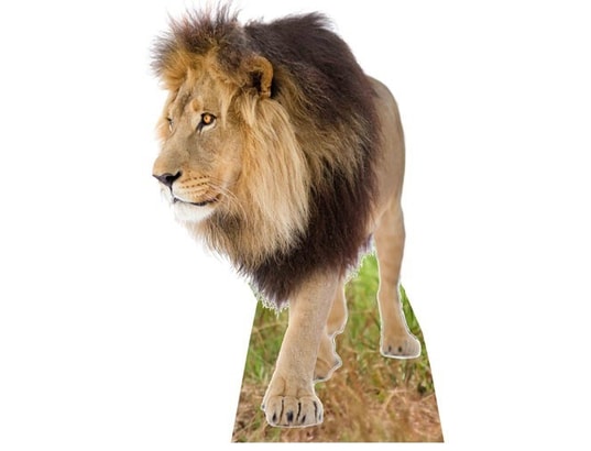 Figurine en carton taille réelle le lion h 130 cm STAR CUTOUTS