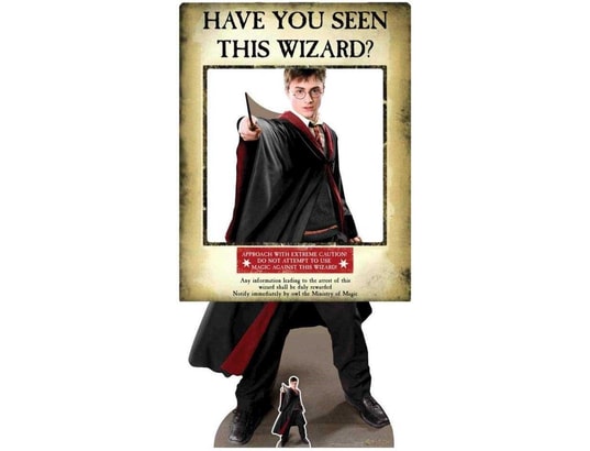 Cadre à selfie en carton doré harry potter, le prisonnier d'azkaban ...