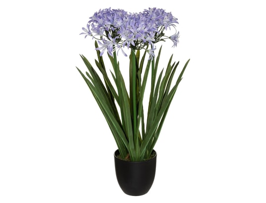 Agapanthe h.66 cm mauve - atmosphera ATMOSPHERA 32682_5048