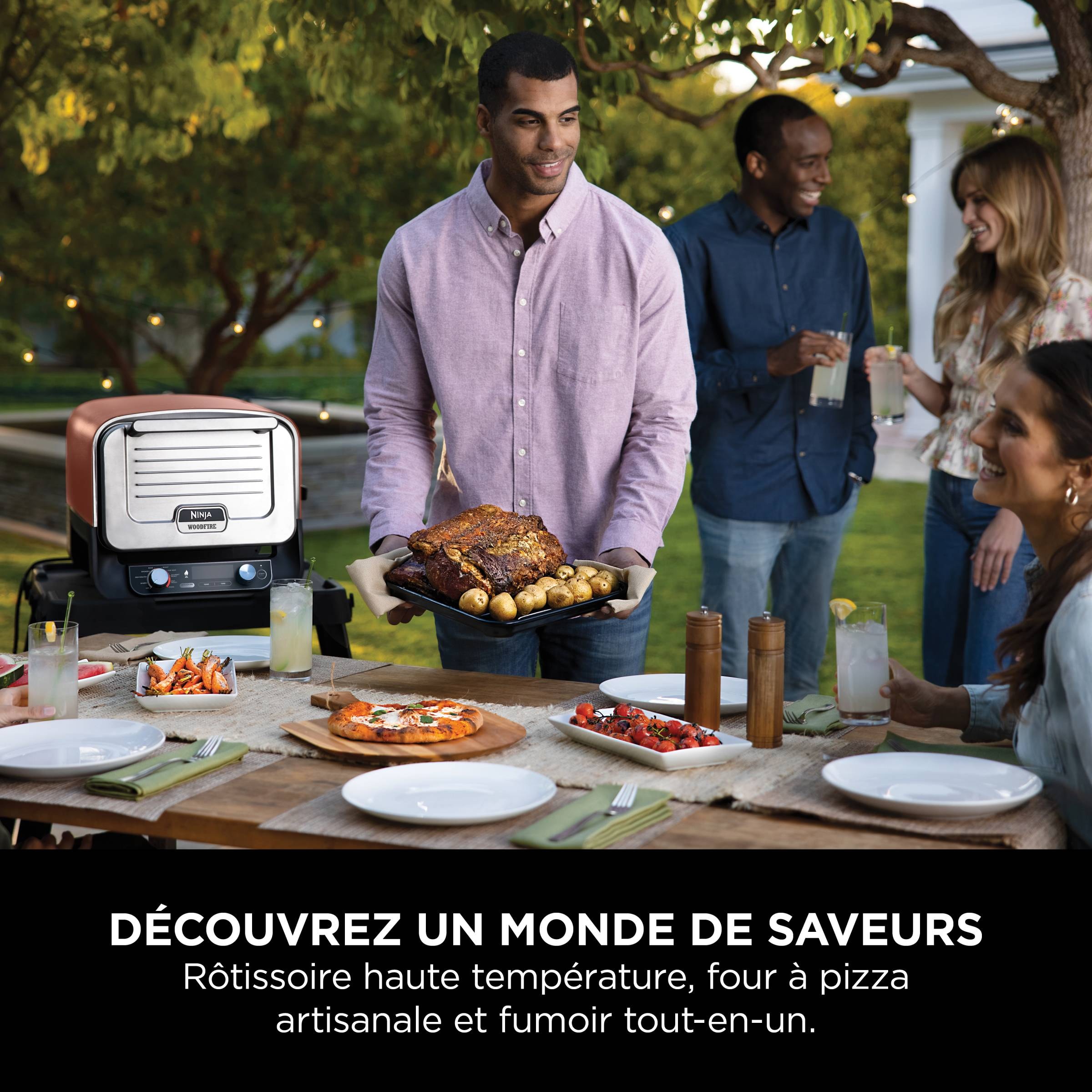 Mini four NINJA d'extérieur multifonction Woodfire OO101EU Pas Cher ...