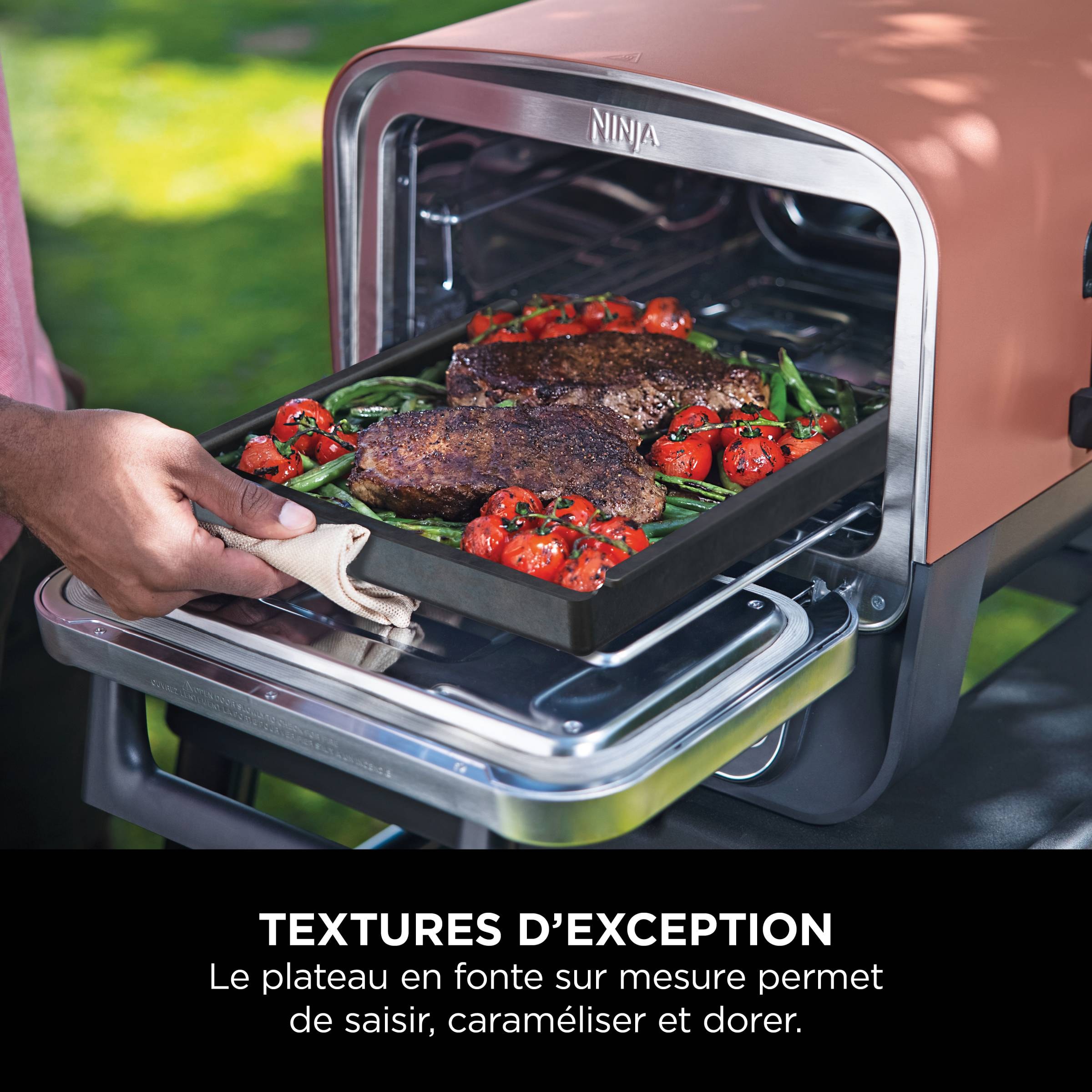 Accessoire barbecue NINJA Plateau de cuisson pour four d’extérieur ...