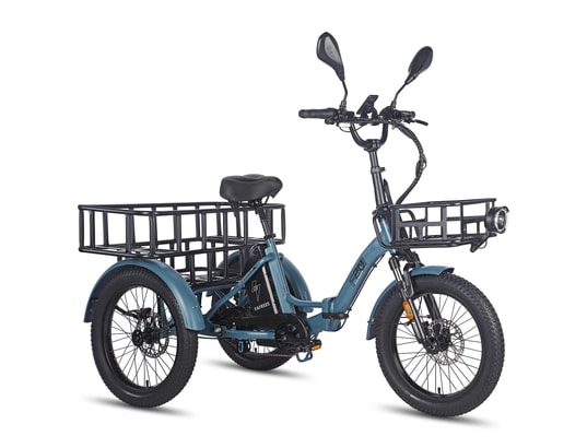 Tricycle cargo électrique fafrees f20 mate 48v 21ah FAFREES Pas Cher ...